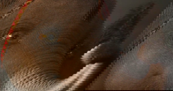 Final De Dumbo Movie Review: Does Disney's Live Action "Dumbo" Soar To